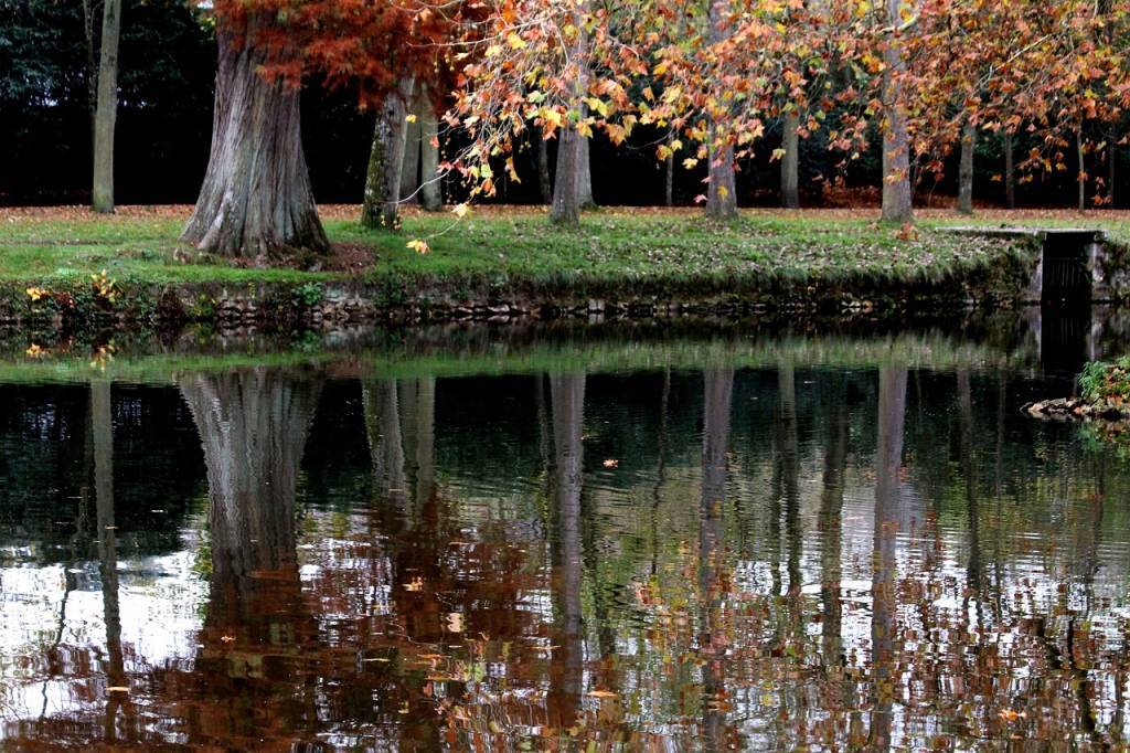 What to do in winter in Rambouillet? | BW Hôtel Amarys
