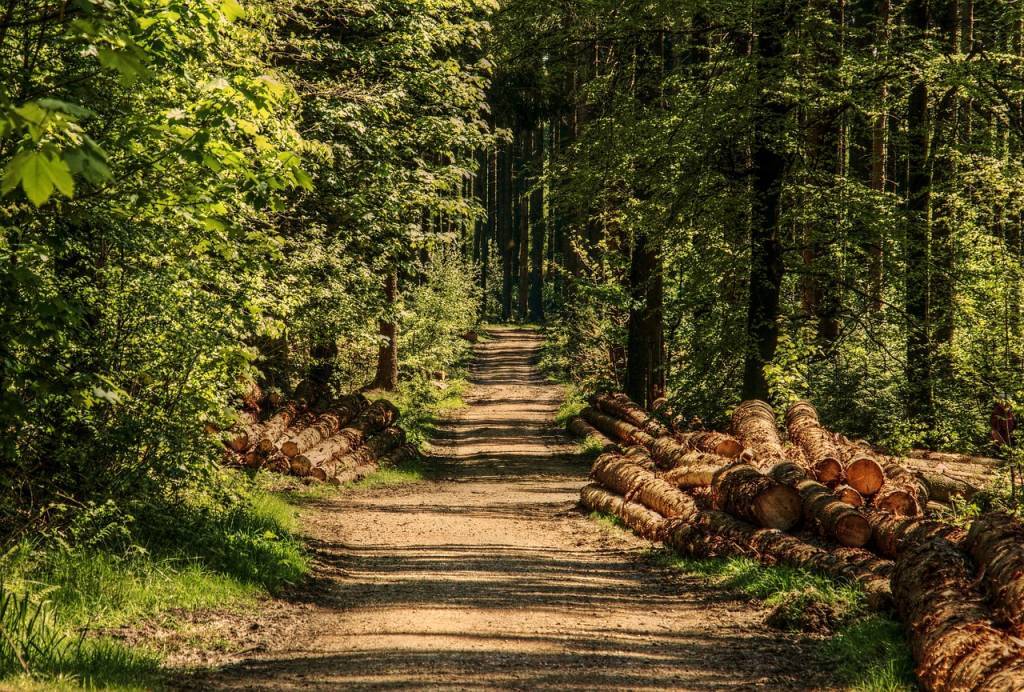 Where to hike near Rambouillet? | Hôtel Amarys